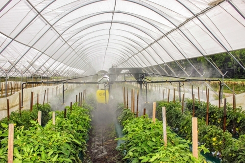 SP-50 High Tunnel Sprayer - Iva Sprayers