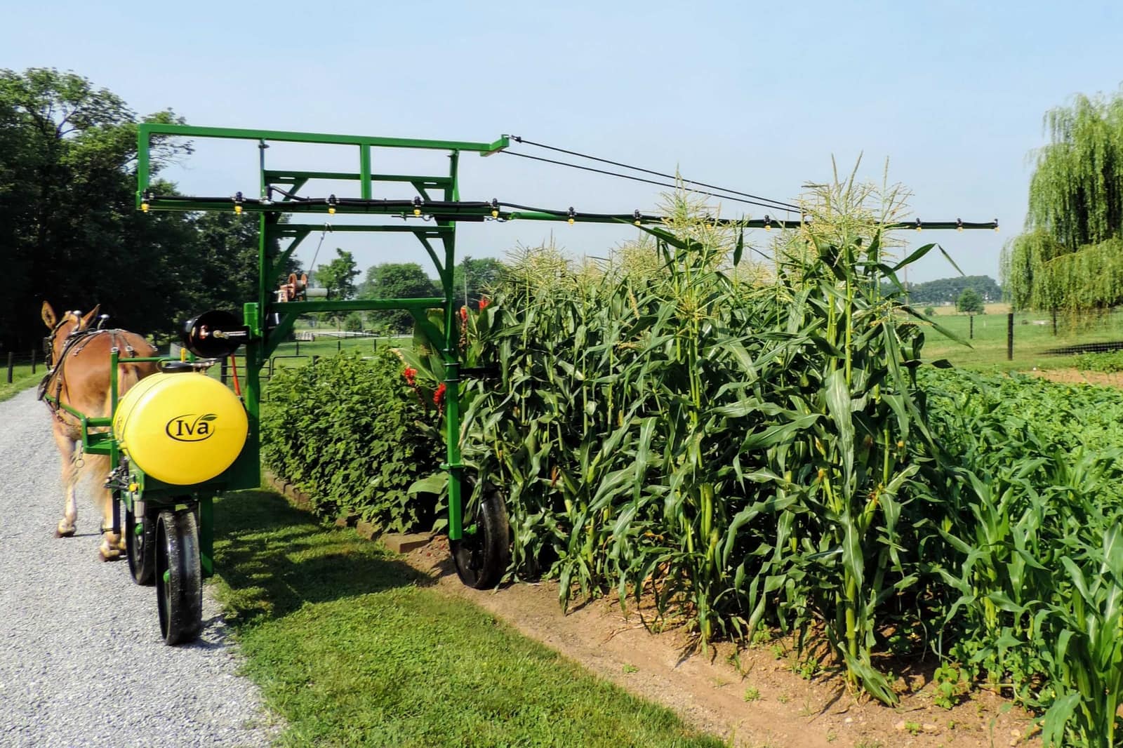 Horse-drawn Sprayers | Iva Sprayers