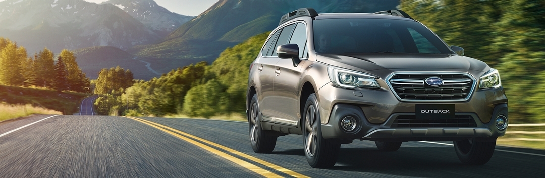 Warranty & Maintenance