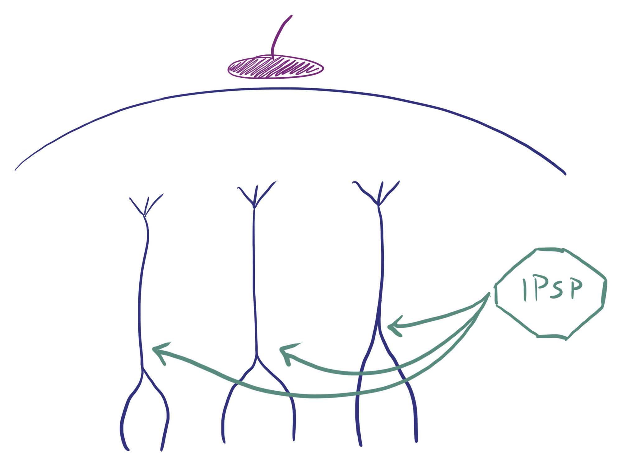 Basic EEG Electrophysiology