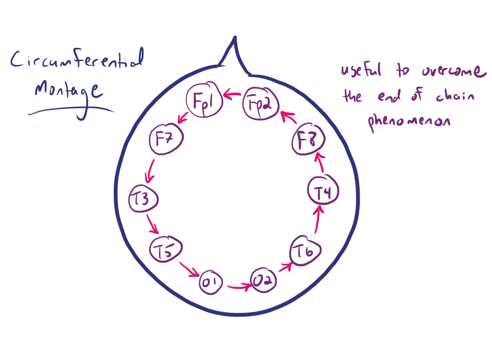 EEG Montages and Technical Components