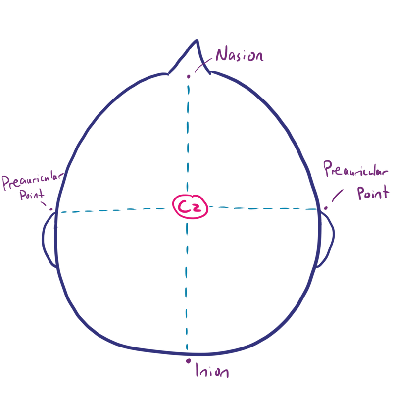 EEG Montages and Technical Components