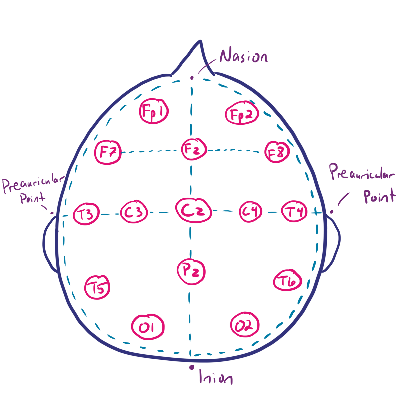 EEG Montages and Technical Components
