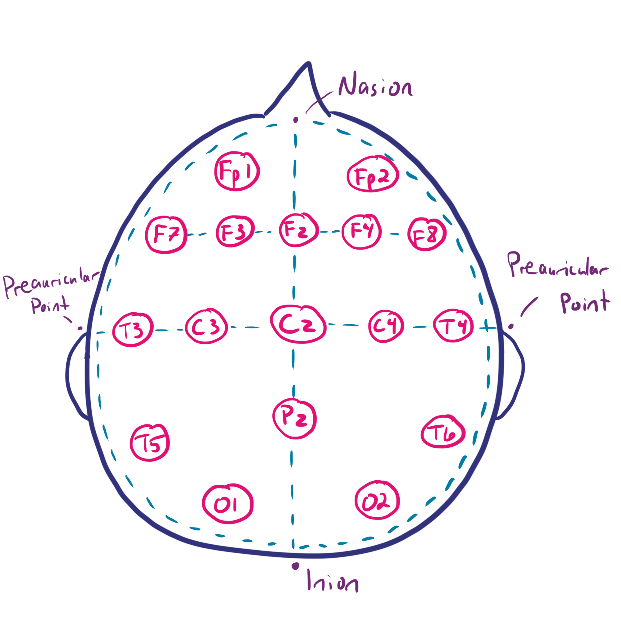 EEG Montages and Technical Components