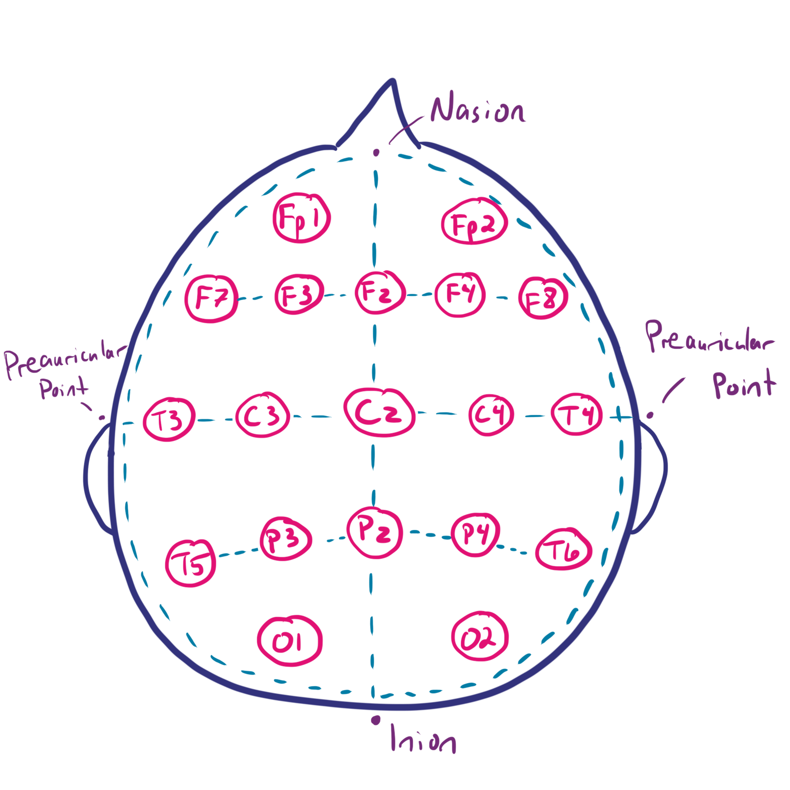 EEG Montages and Technical Components