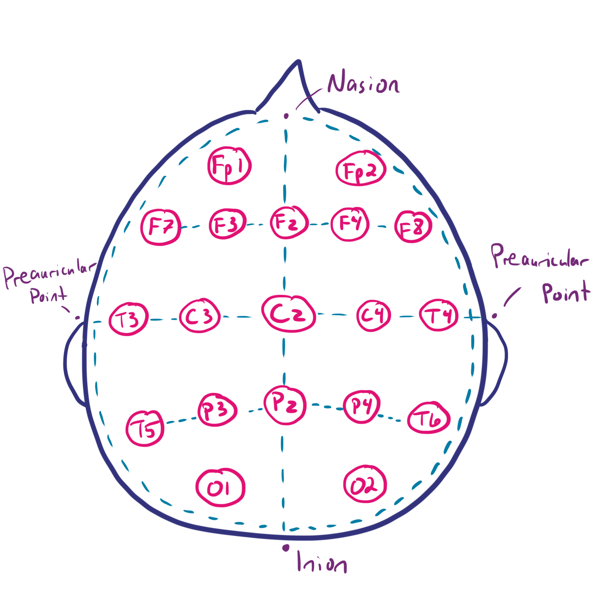 EEG Montages and Technical Components