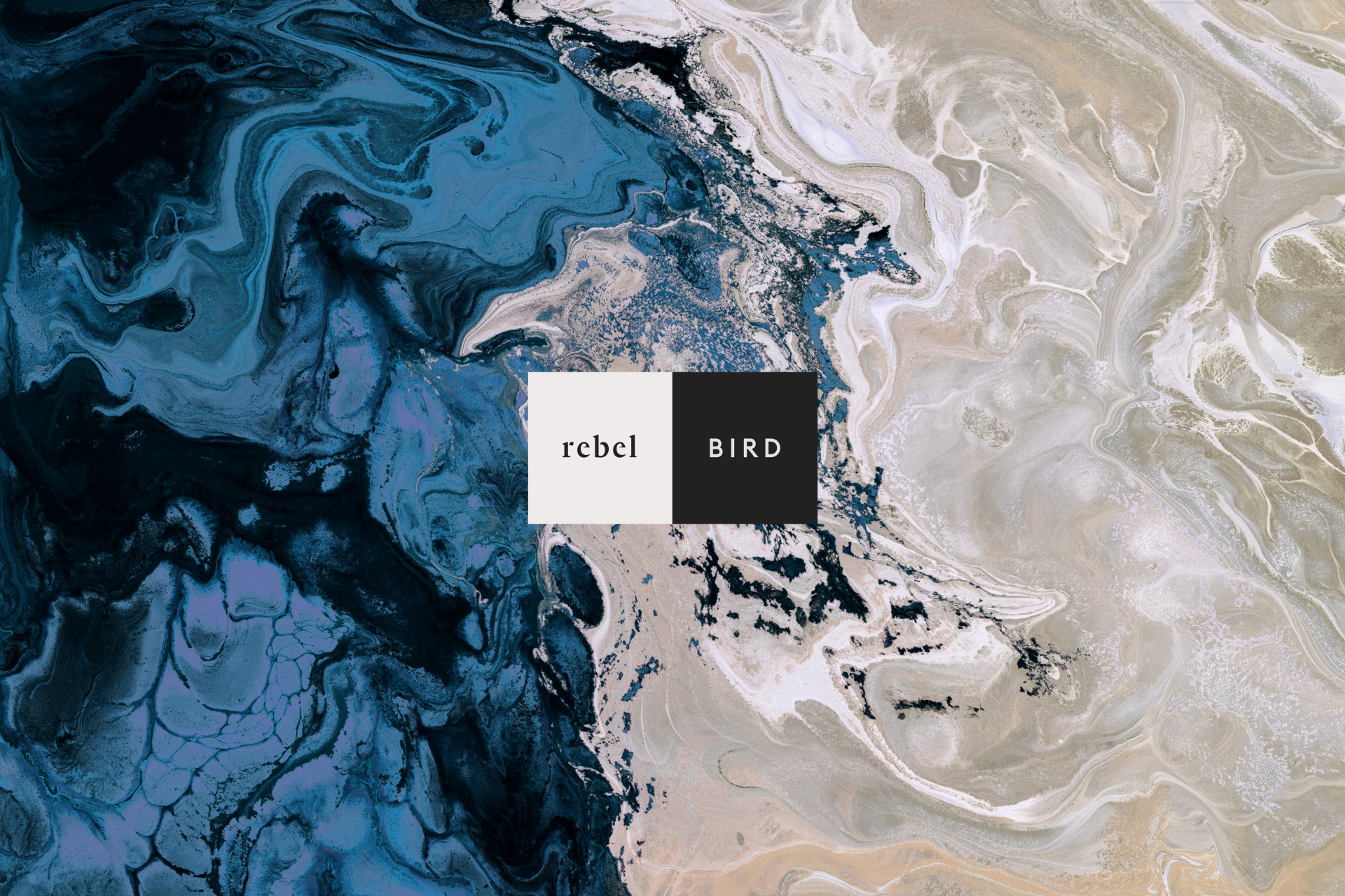 D&P Project - Rebel & Bird