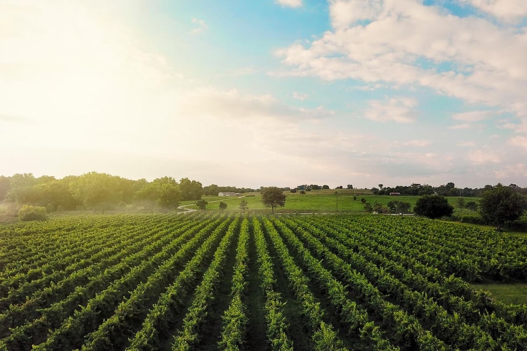 40+ Kansas Wineries | Kansas City Wine Road