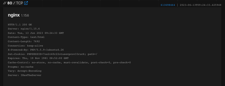 Illuminating the Digital Shadows with Shodan | Evolve Security