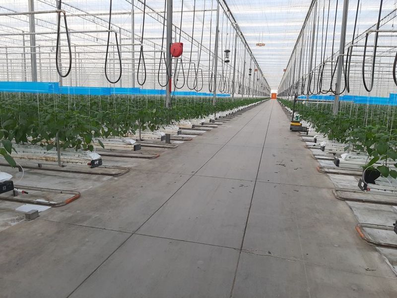 Canadian Greenhouse Operations