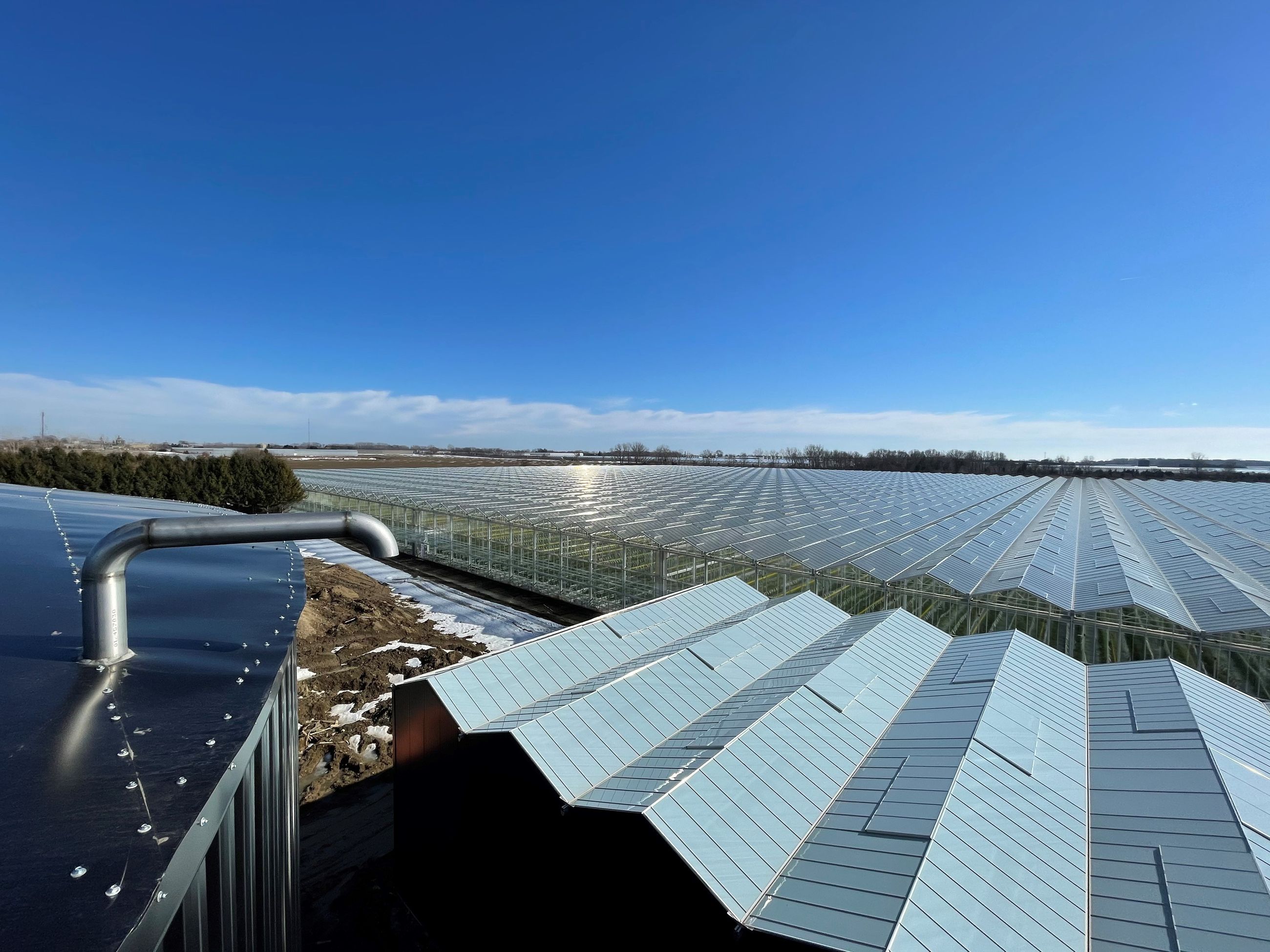 Canadian Greenhouse Operations