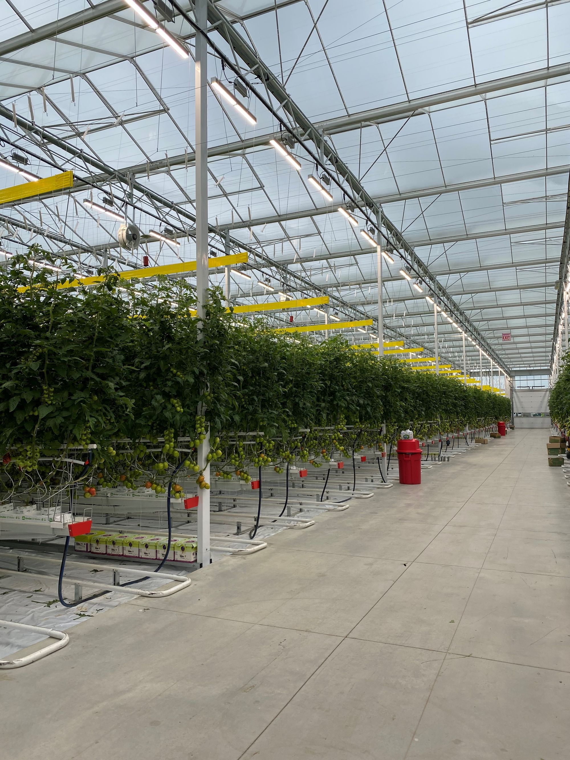 Canadian Greenhouse Operations