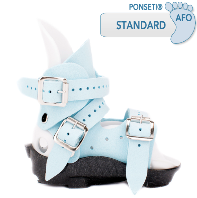 Orthotics and Prosthetics Products and Supplies O&P