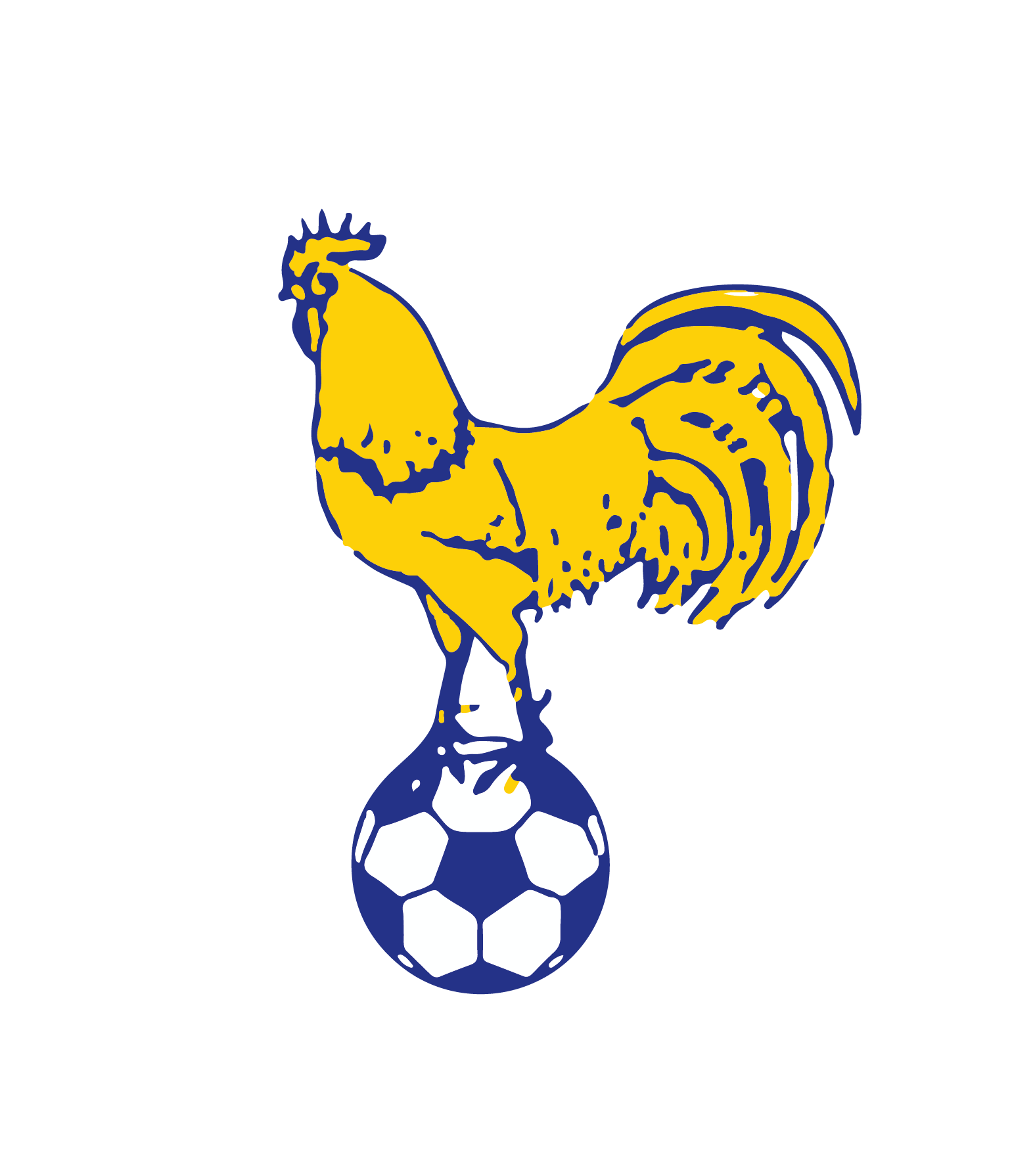 Cockburn City SC