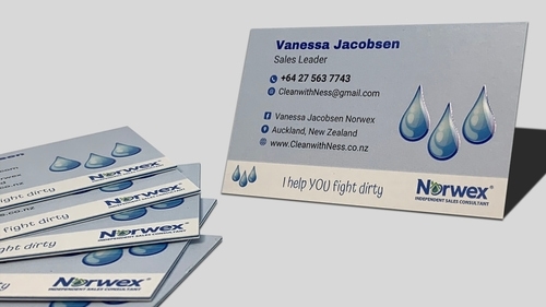 Clean with Ness Business Cards - Gallery Of Work By Fuzed