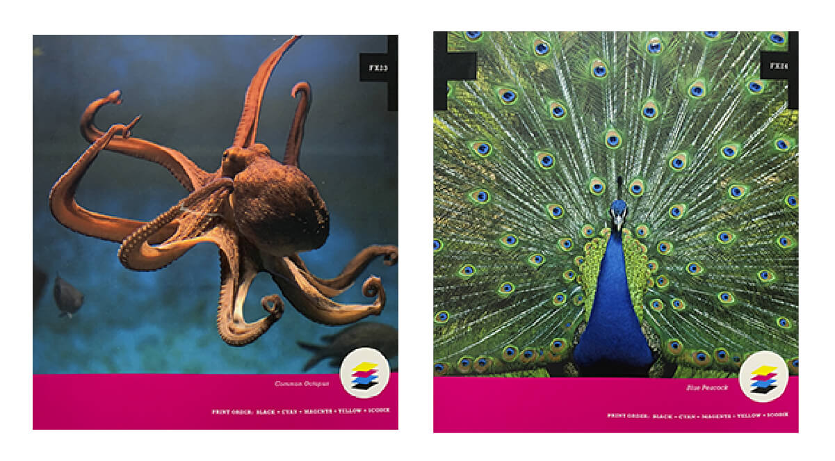 How Did We Do That? - Case Study Article By Fuzed