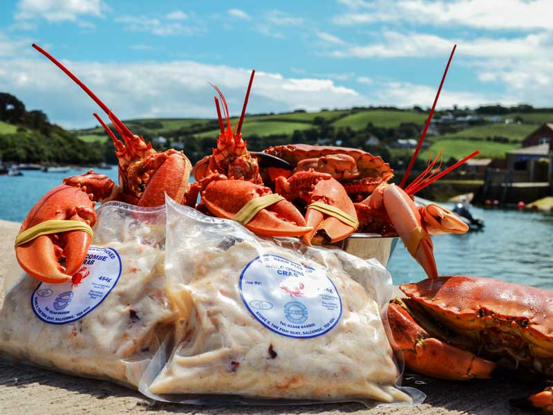 About the Crab Shed Salcombe