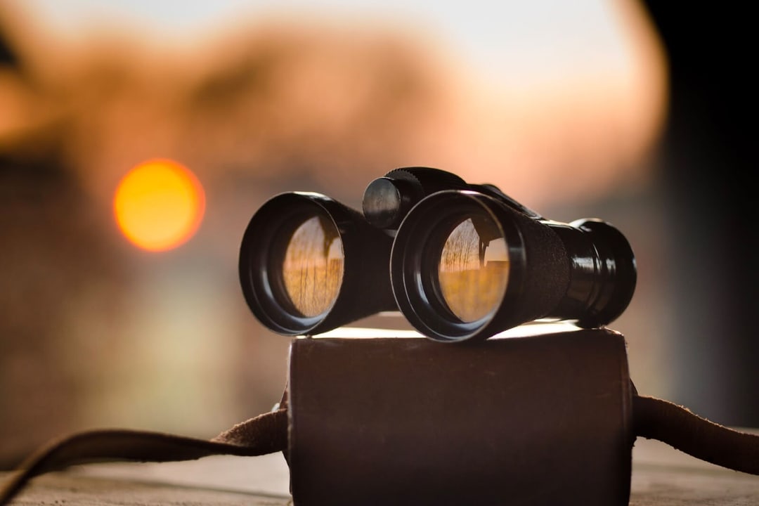 Searching For Meaning searching-for-meaning
