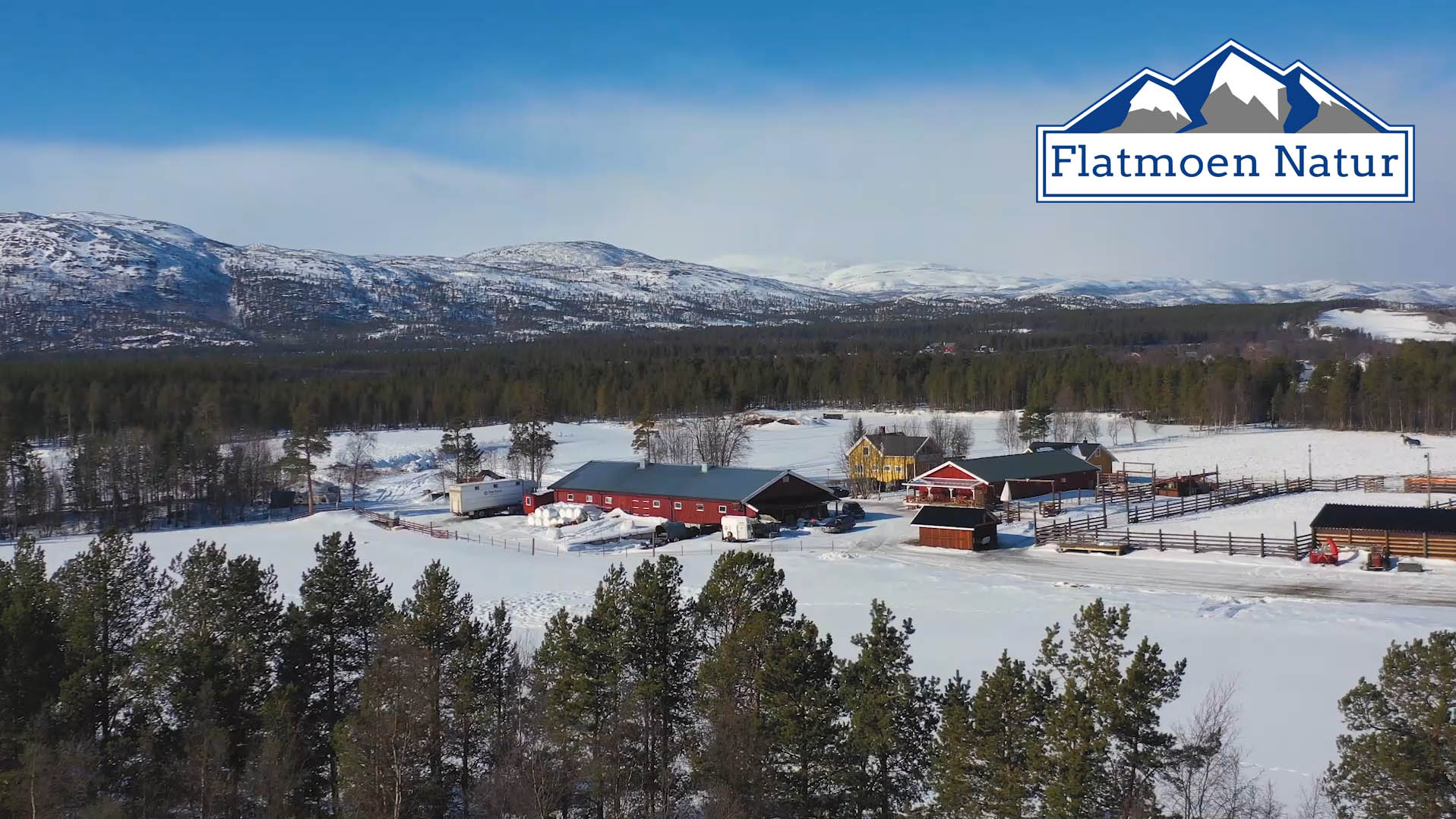 Flatmoen Natur - Horse & Sleigh rides In Alta, Finnmark, Norway!