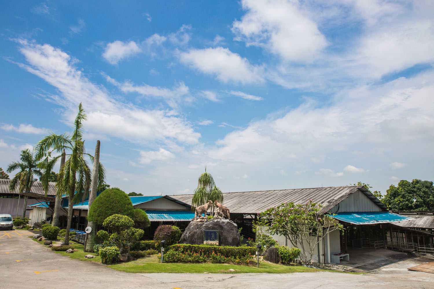 Hay Diaries - The only goat farm in Singapore producing fresh goat milk ...
