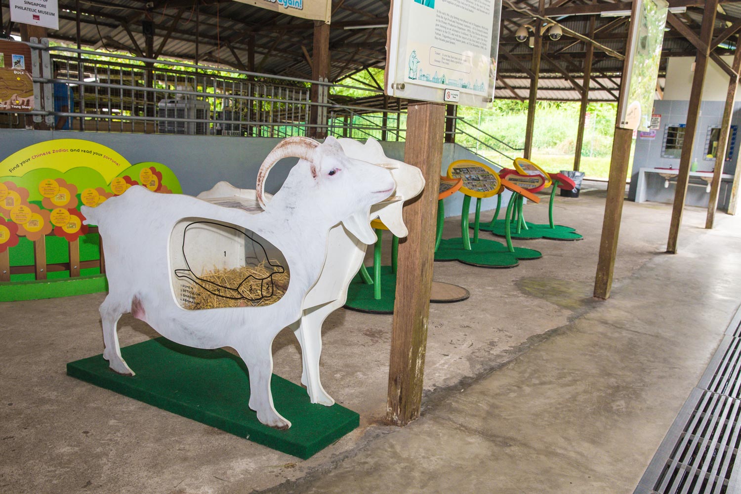 Hay Diaries - The only goat farm in Singapore producing fresh goat milk ...