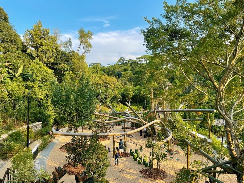 🌳Como Adventure Grove Playground: Singapore Botanic Gardens