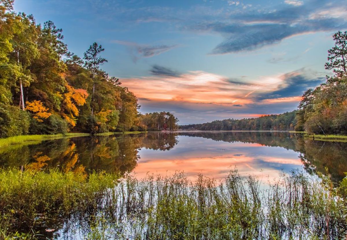 20 Famous Actors from Alabama | About Town