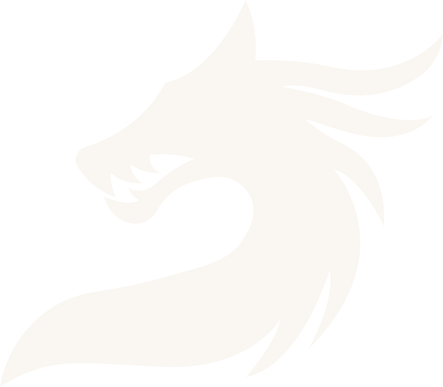 Dragon 100