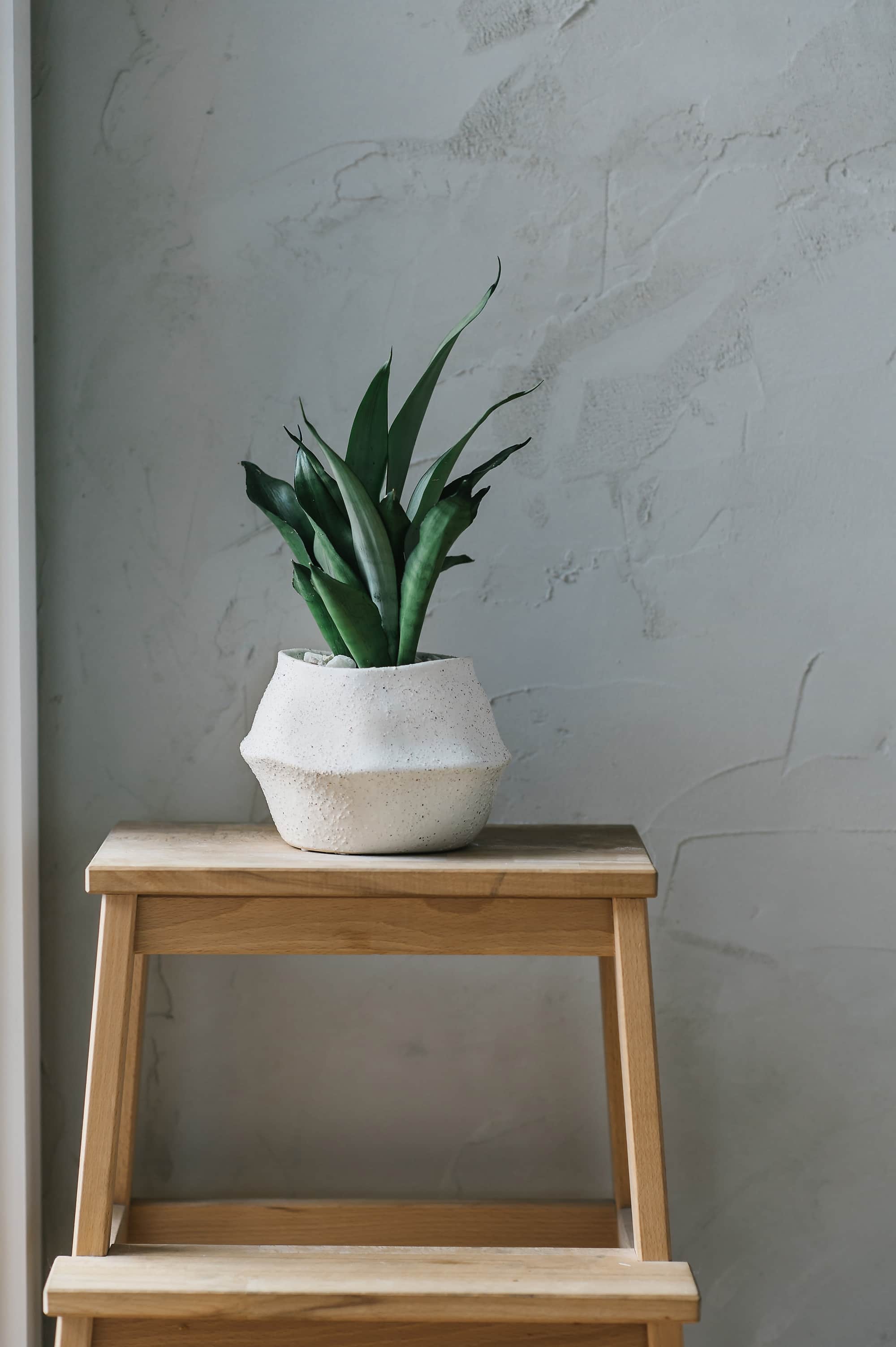 cloverleaf-photo-gallery