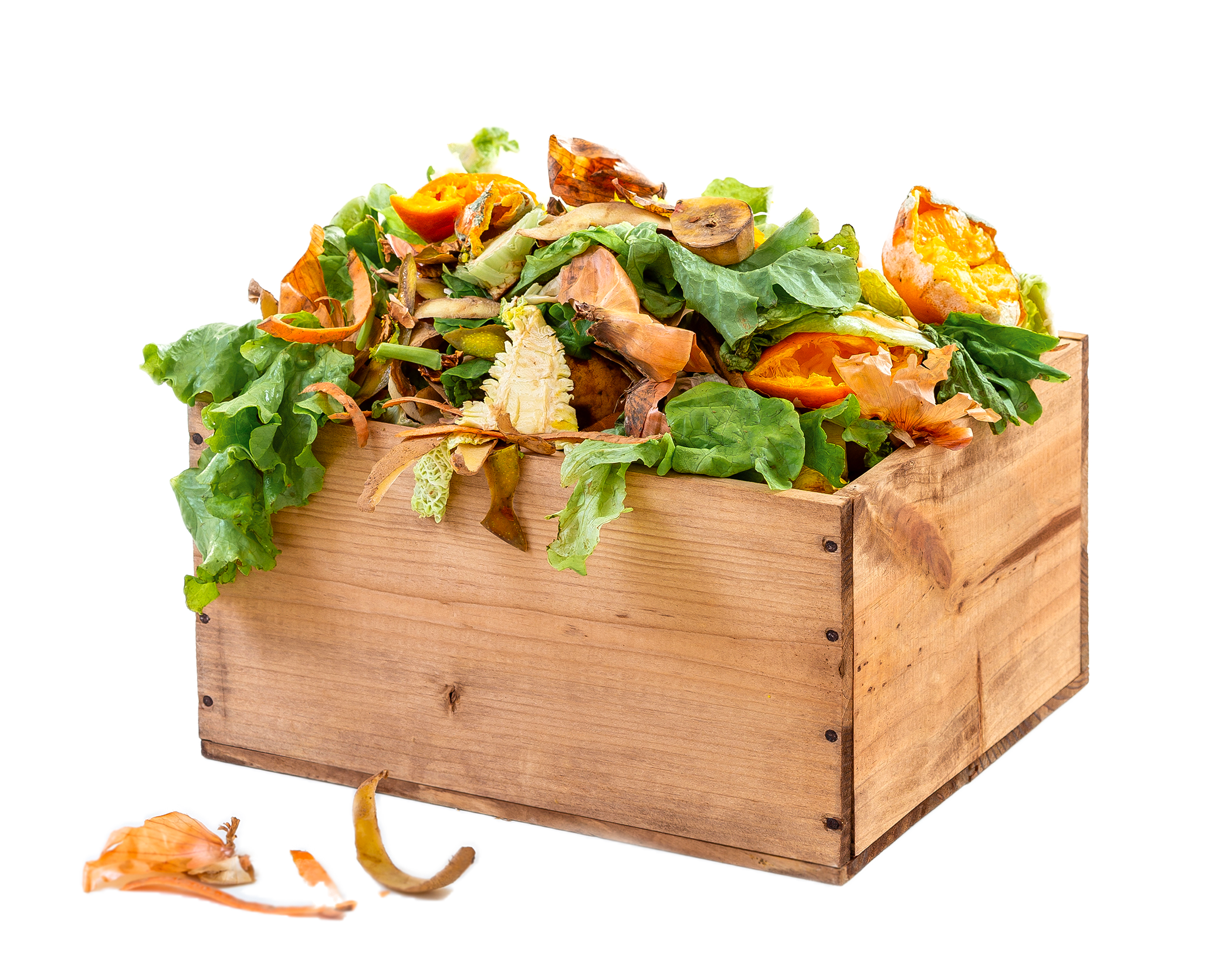 Compostia | Curbside Composting In Athens