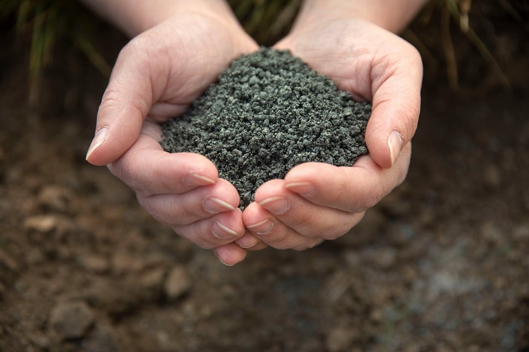 The Carbon Community