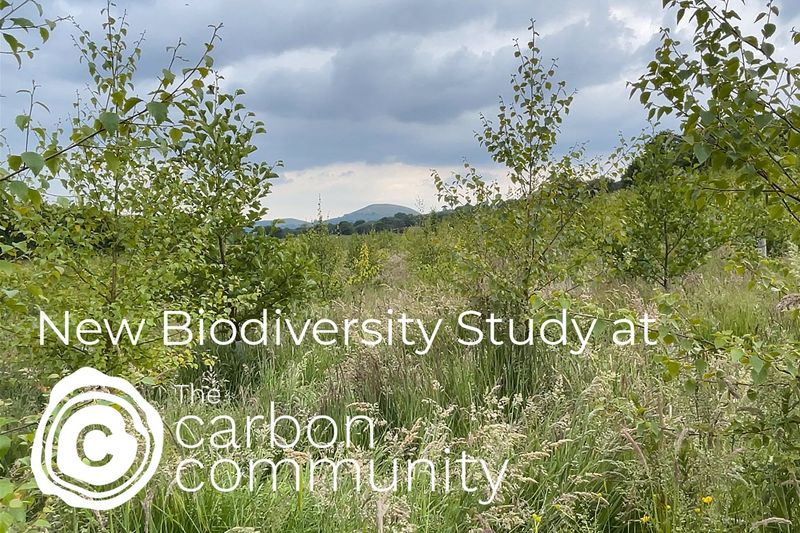 The Carbon Community – Forests for Carbon