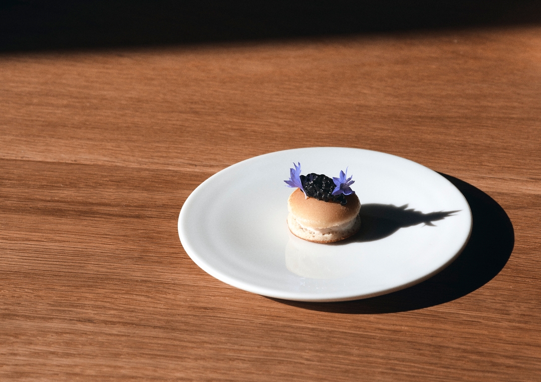 Timid Magazine | Nisei: David Yoshimura