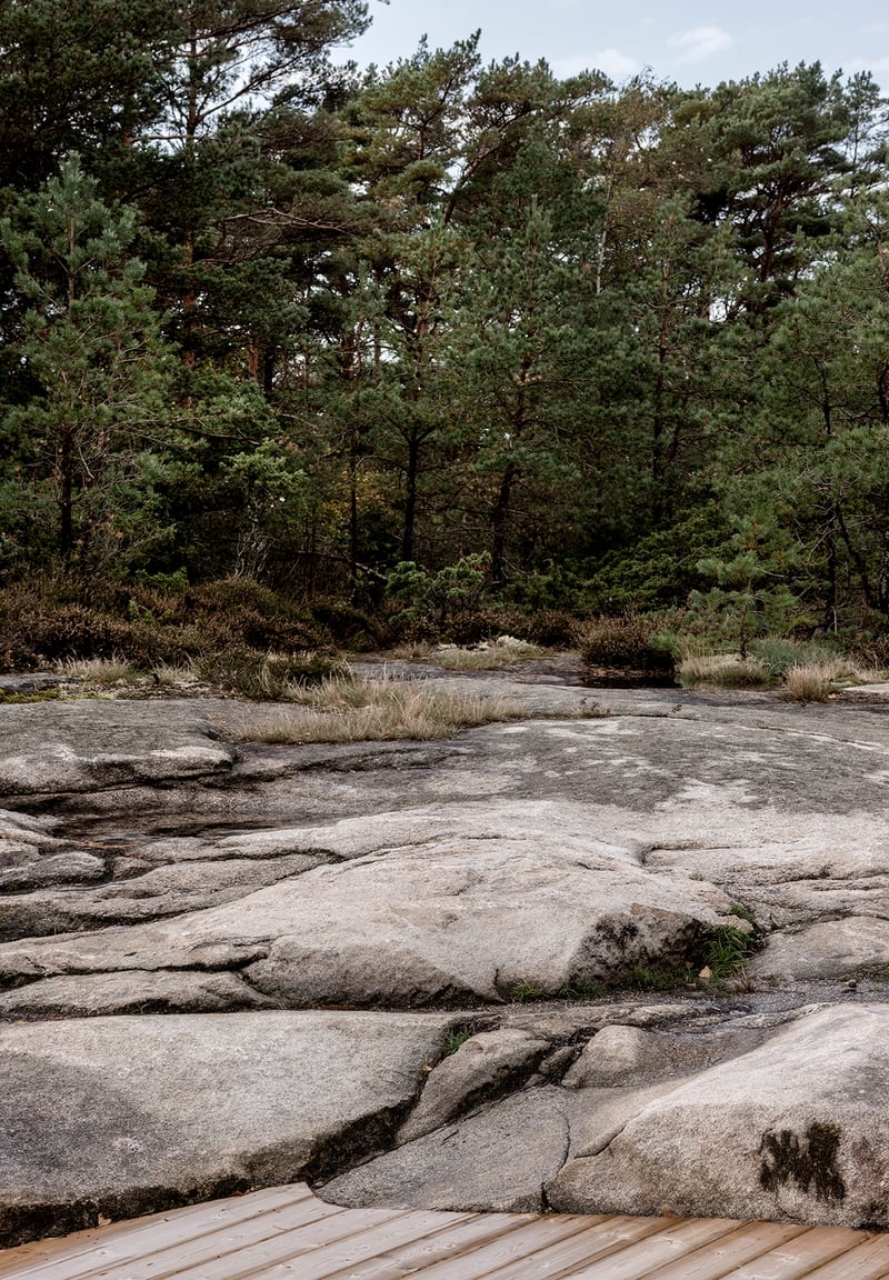 Lunneryd Arkitekter: Med Blicken och Livet mot Naturen — Facing the ...