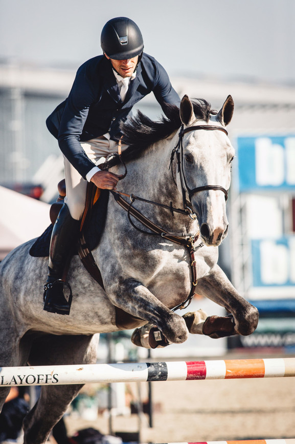 EQUIMO - horse training tracker, application and analysis