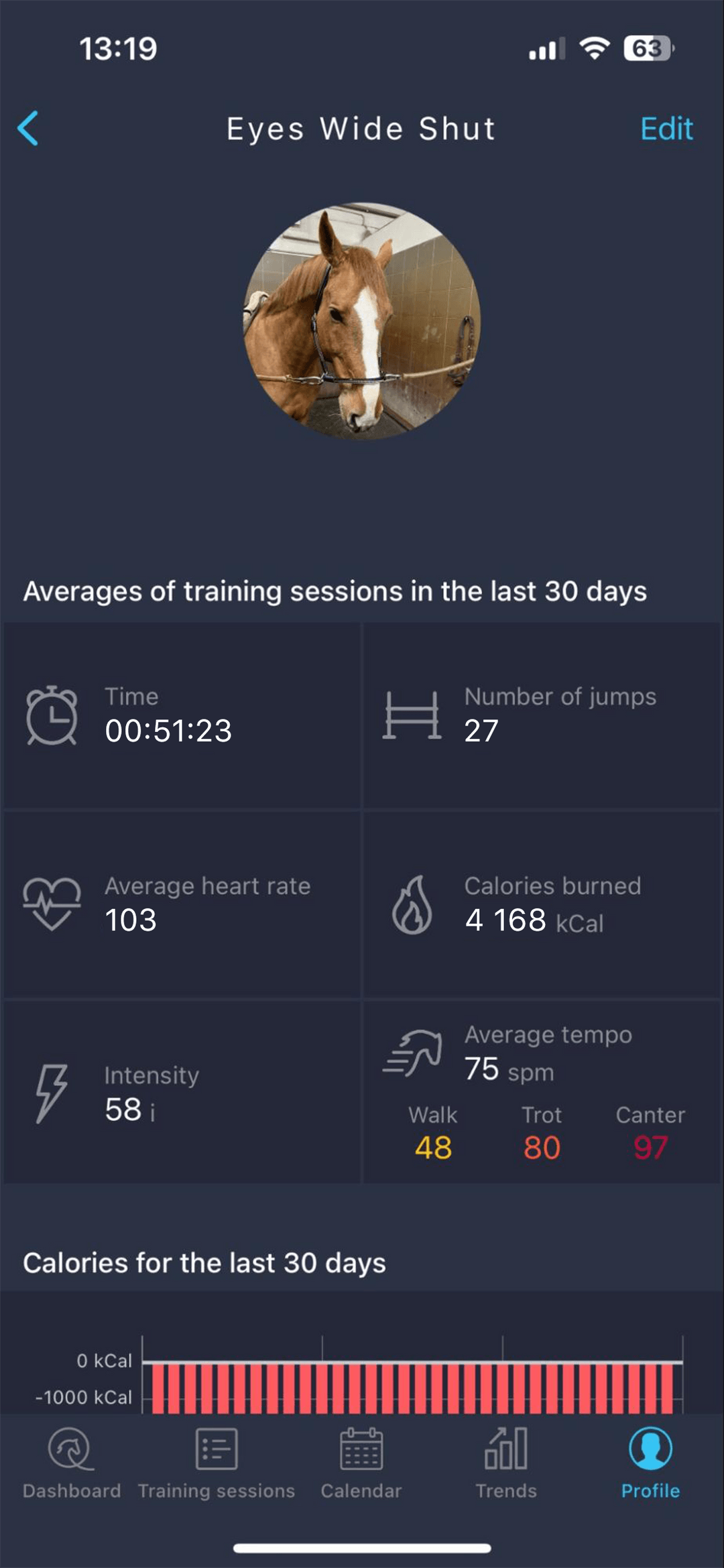 EQUIMO - horse training tracker, application and analysis