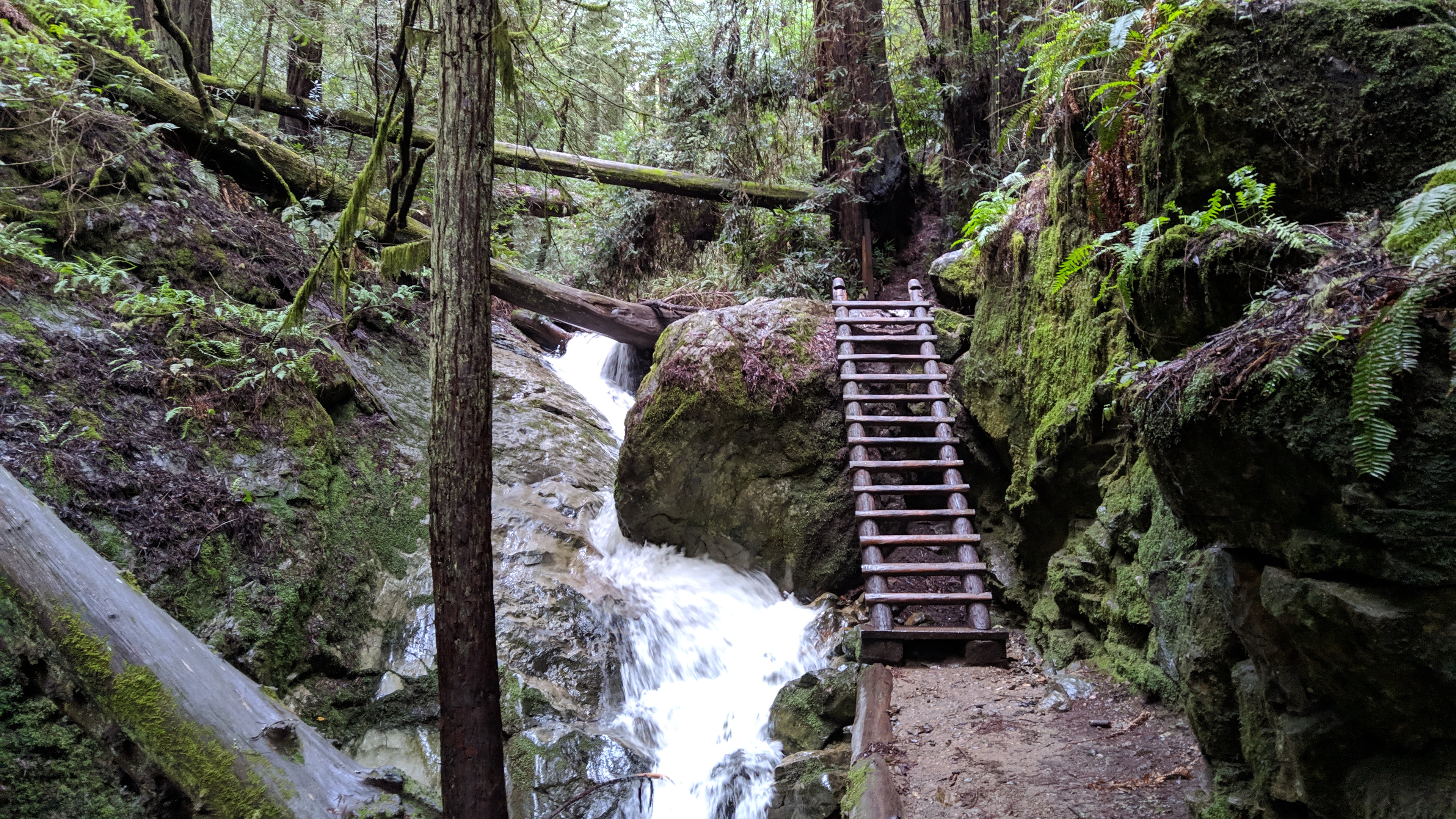 Steep Ravine Trail Hike