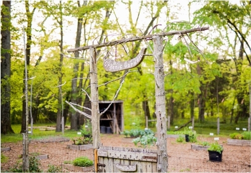 Volunteer Opportunities