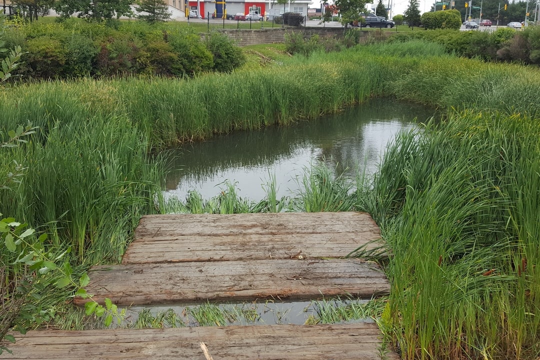 Low Impact Development Practices