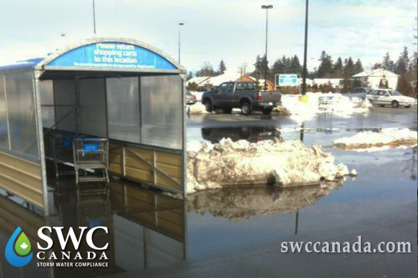 Flood Remediation Bio-swale Cleaning - SWC Canada Inc.