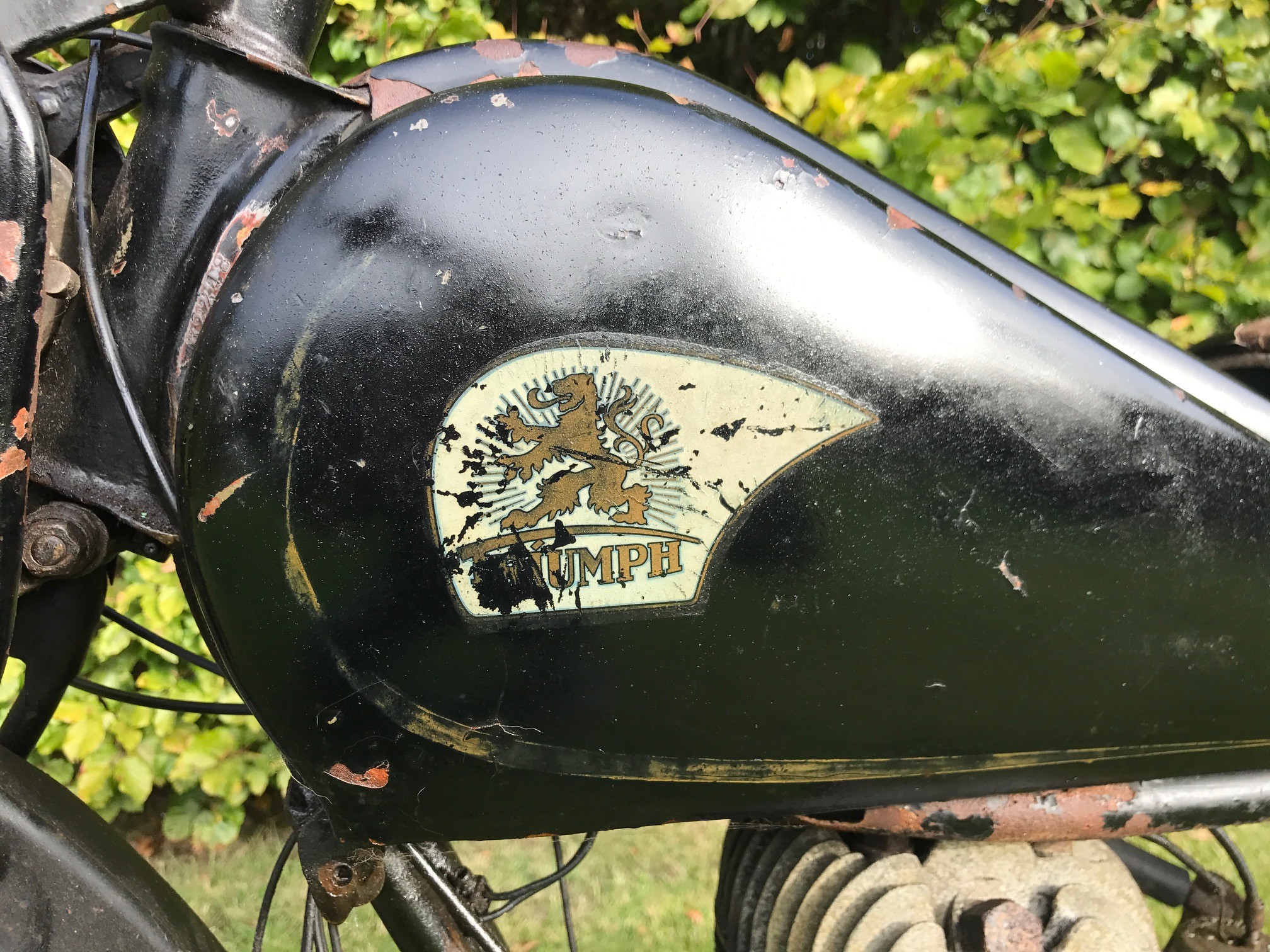 Triumph Gloria
