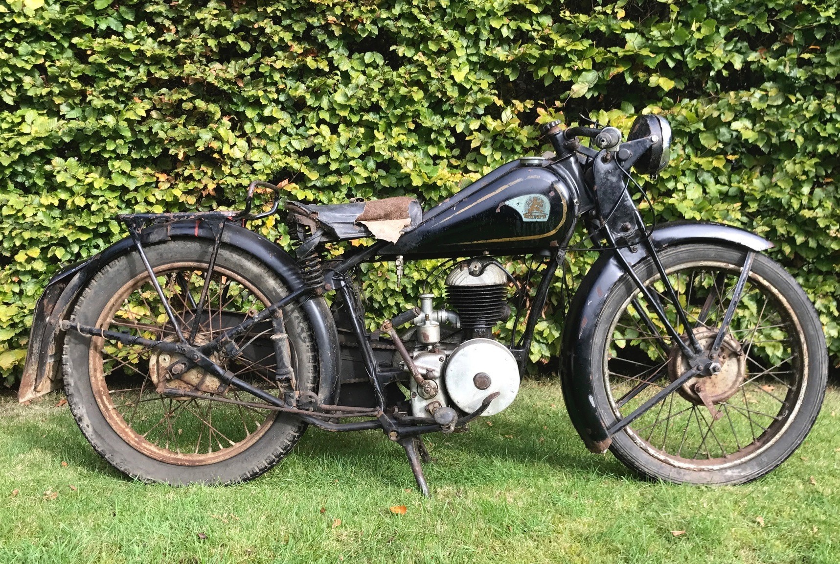 Triumph Gloria