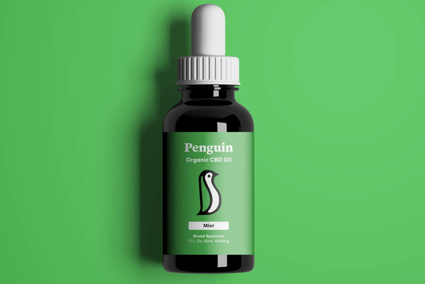 Deep Patel | Entrepreneur & marketer.