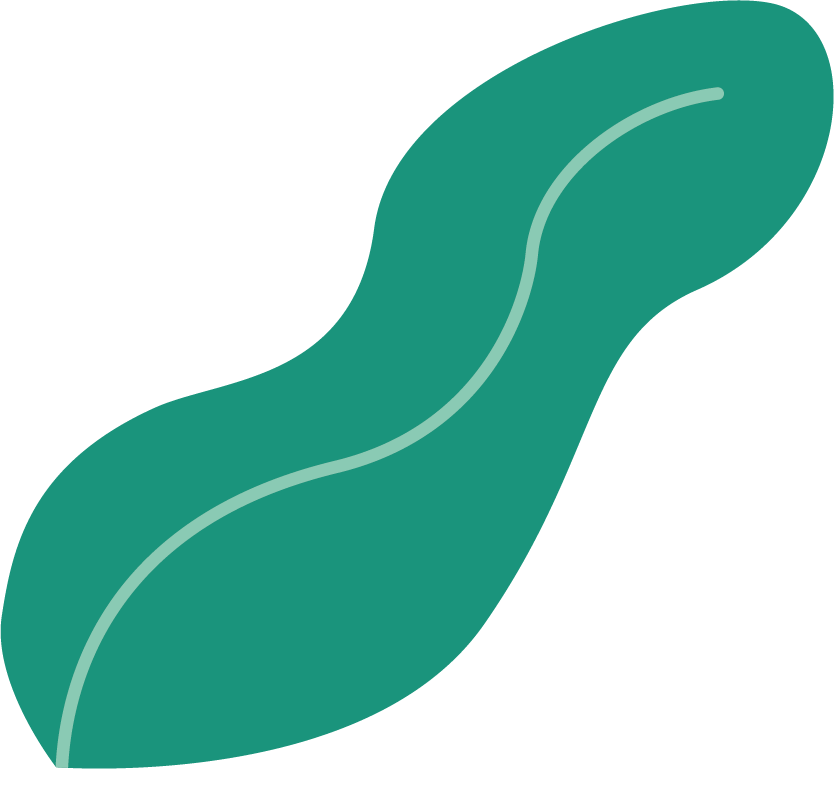 HUG 2022 - Hungarian Handpan Gathering & Lifestyle Camp