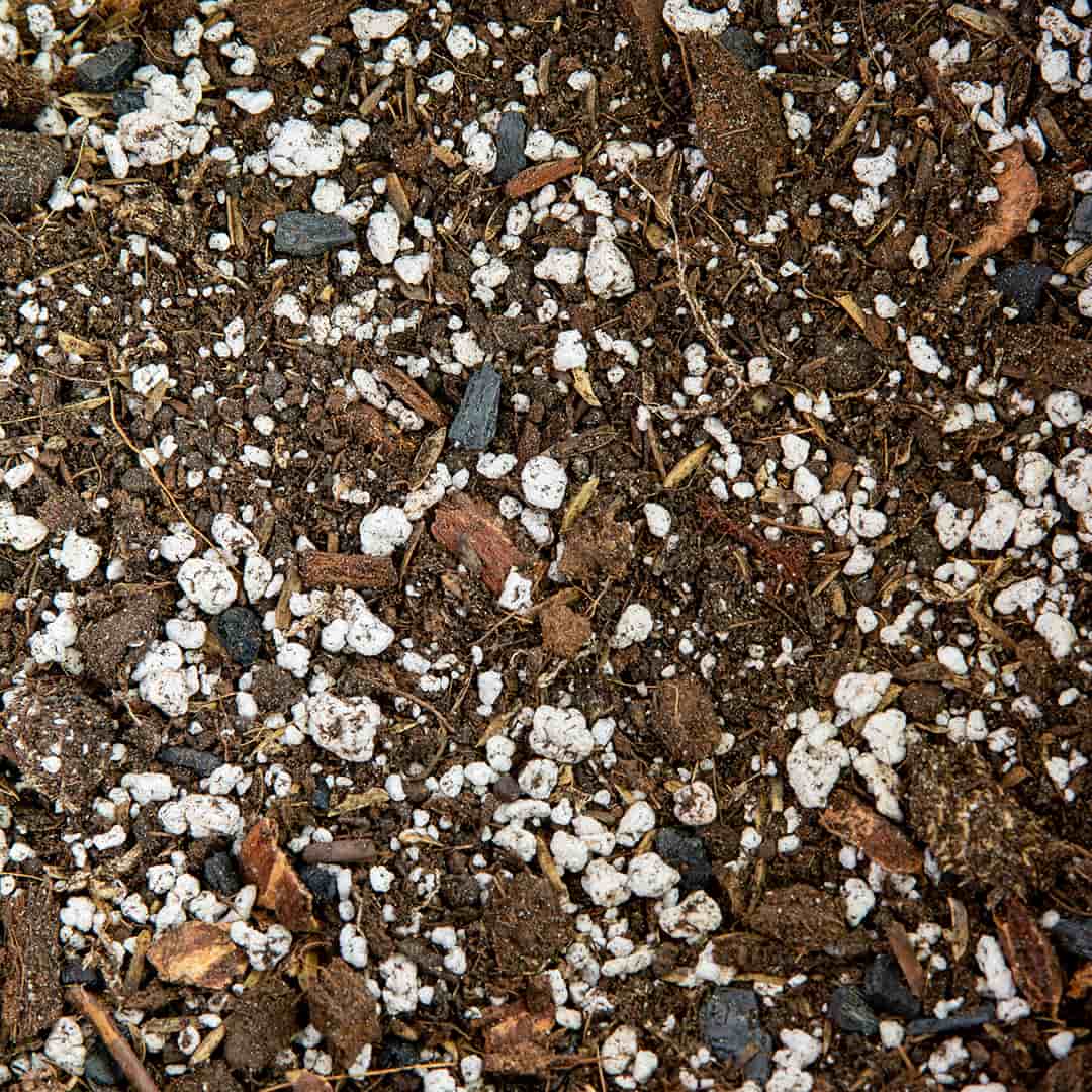 Seamless Potting Soil Texture