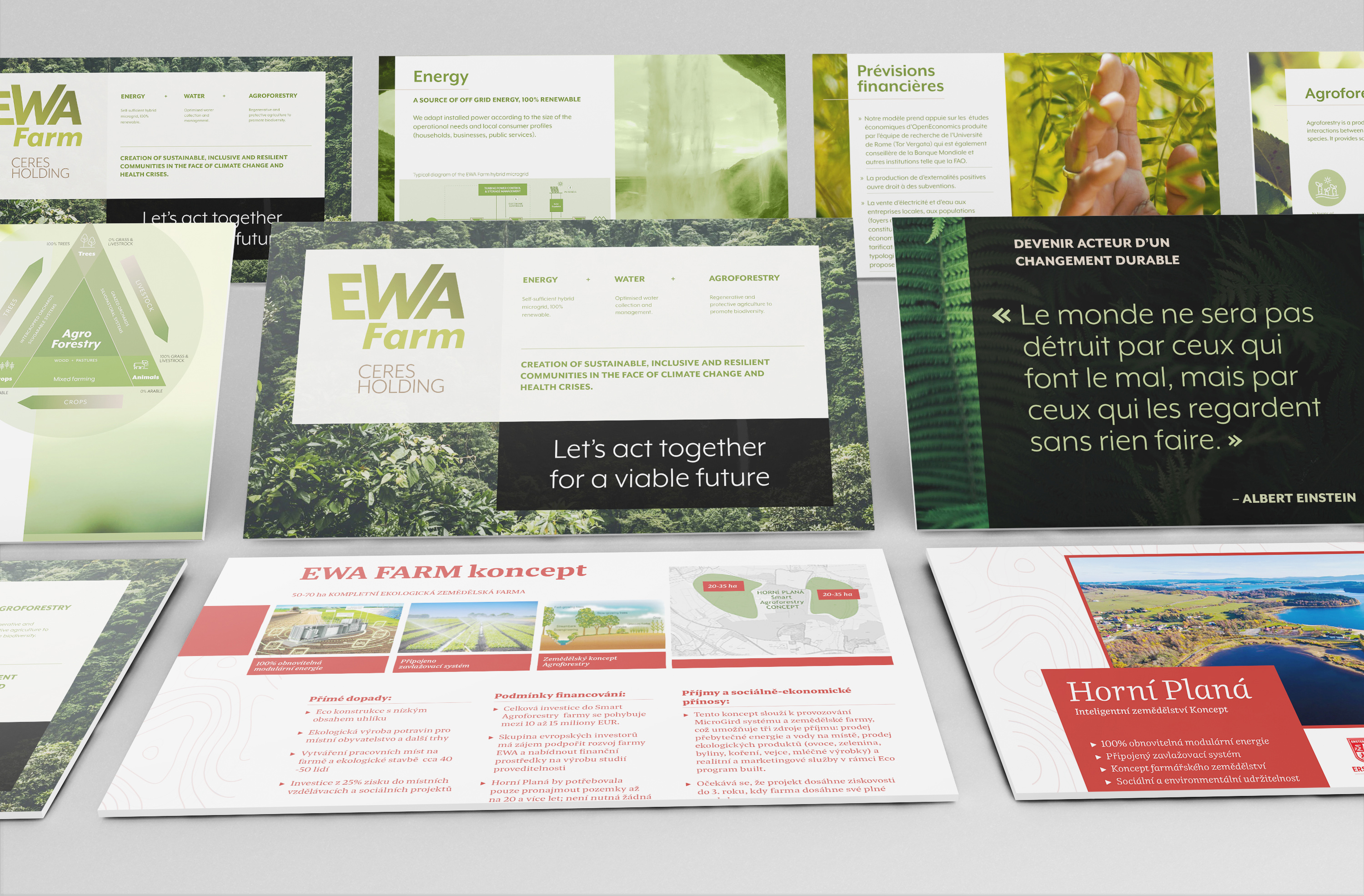 Amorimage - Graphic design, Video and Branding