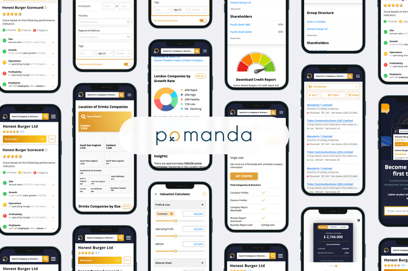 Big Picture Software