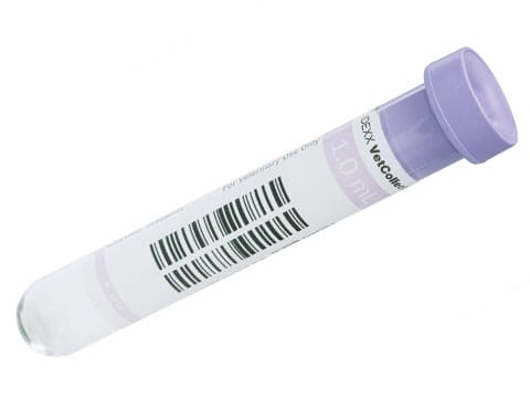 Behind the Exam: In-House Labwork | The Cat's Meow Veterinary Hospital