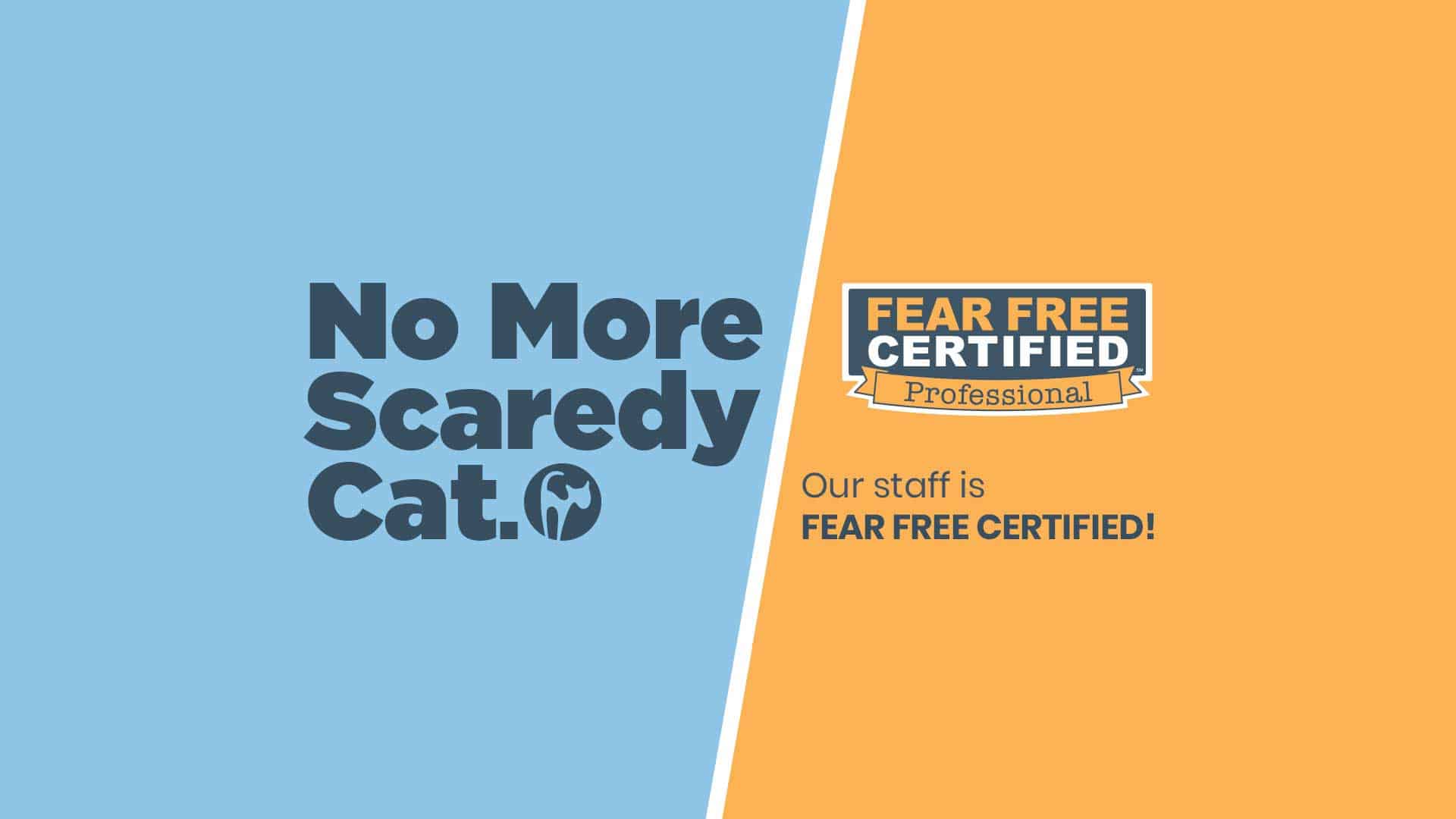 Fear Free Initiative | The Cat's Meow Veterinary Hospital