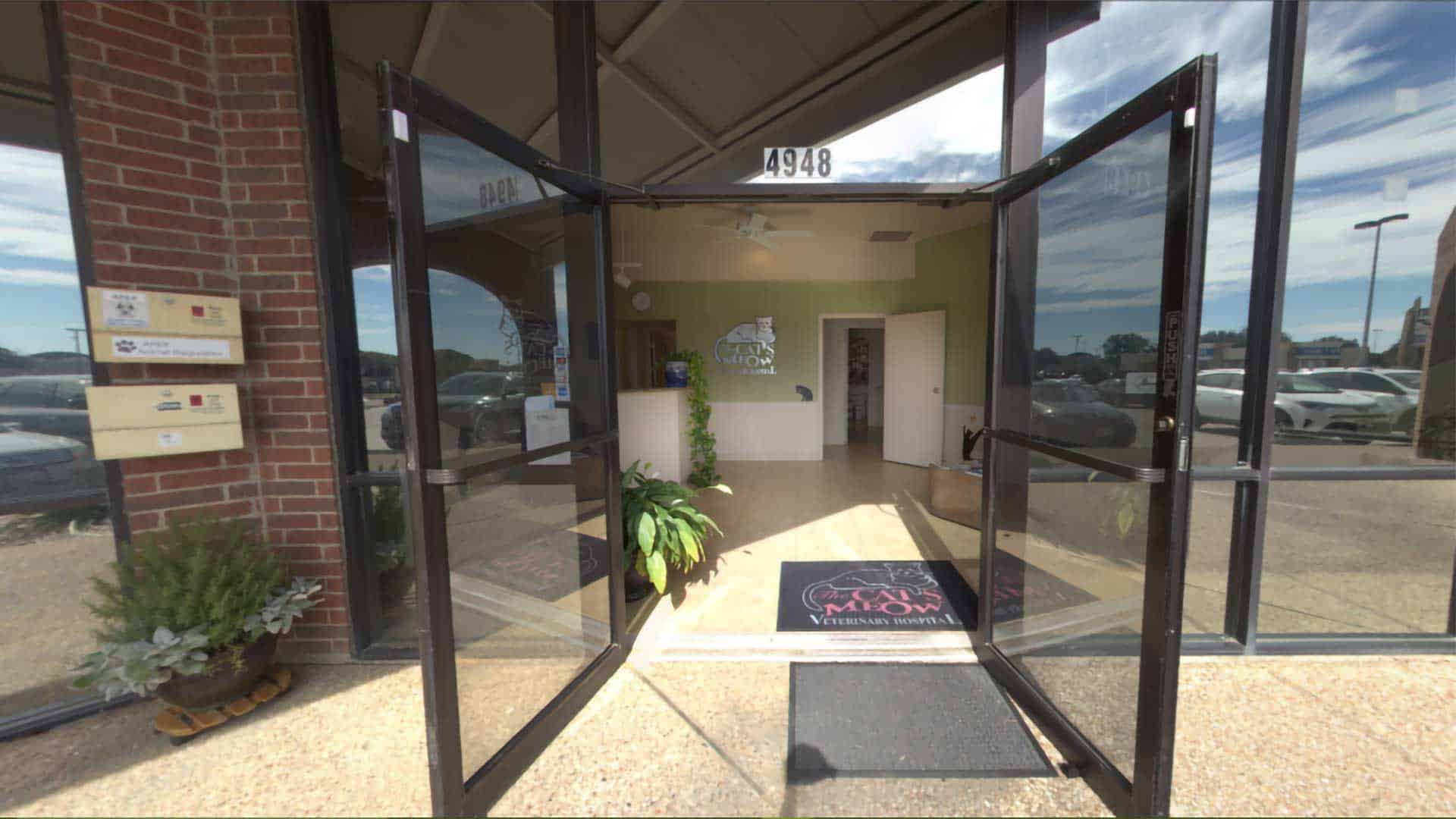 Explore Our Cat Clinic | The Cat's Meow Veterinary Hospital